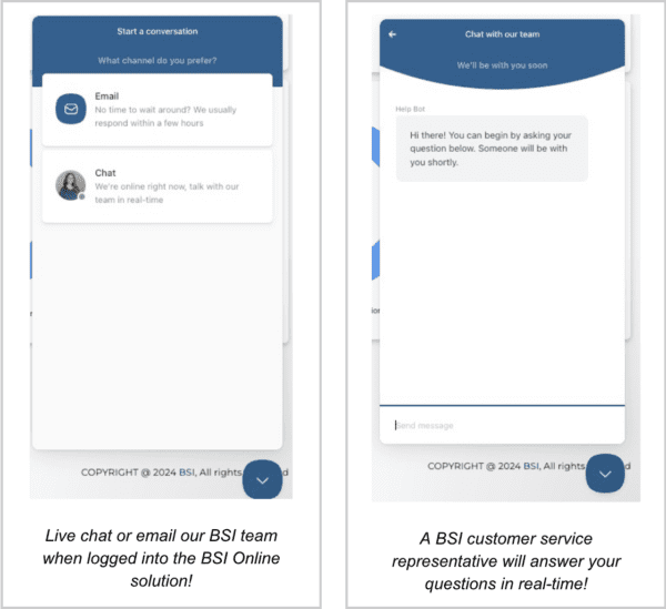 Understanding BSI Online: Insights from a Tester’s Perspective ...
